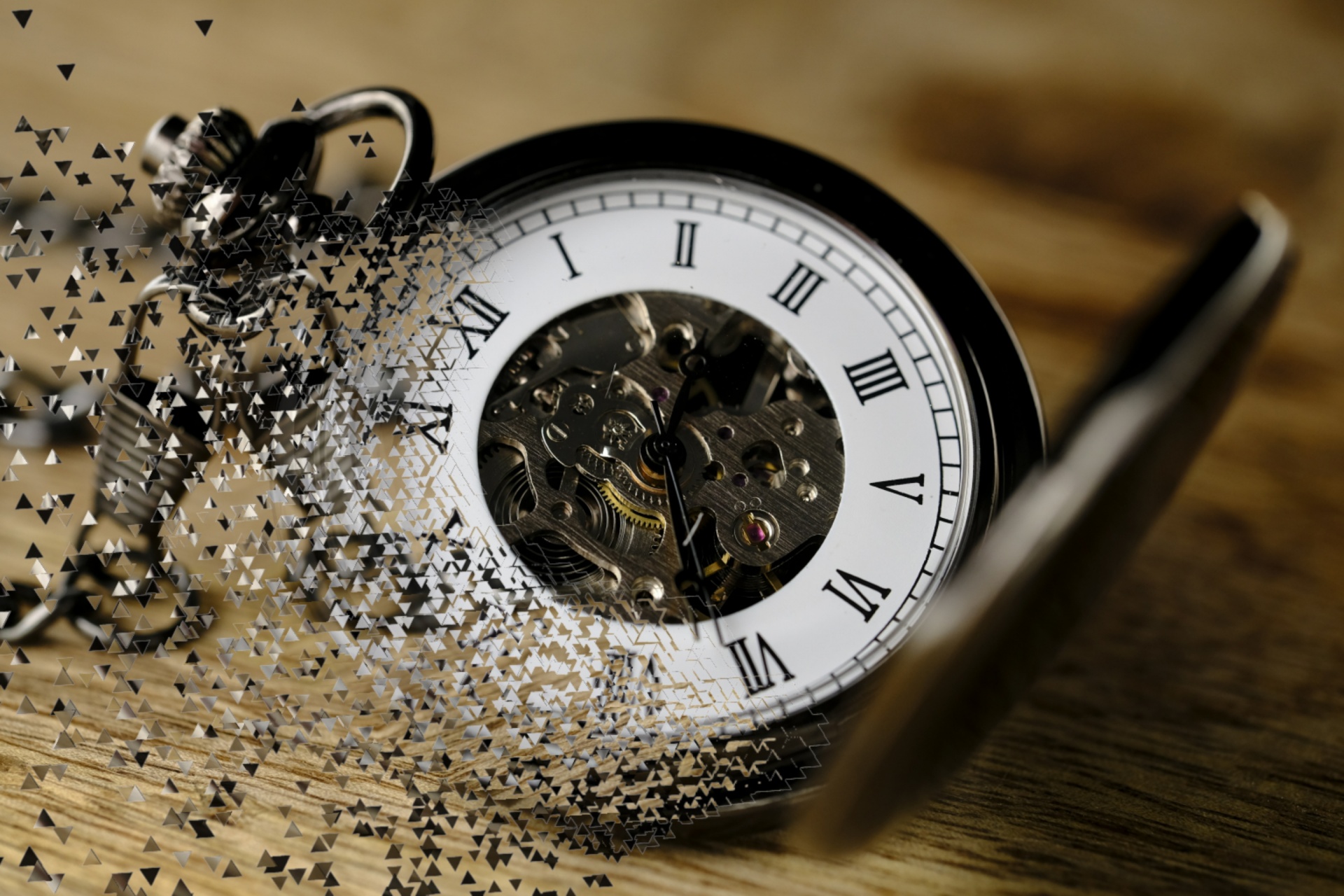 DO NOT WASTE YOUR TIME MEANINGLESSLY Silent Thunder Order DO NOT WASTE YOUR TIME MEANINGLESSLY Silent Thunder Order
